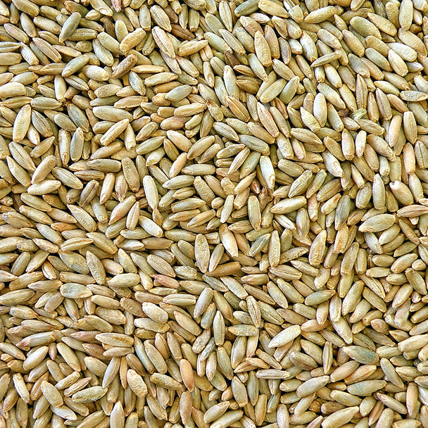 Products – Born Organic